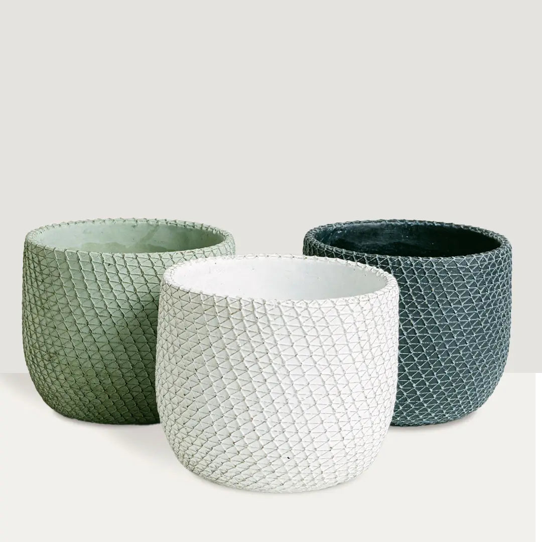 Flower/Plant Pot BG40257 - Flora Queen