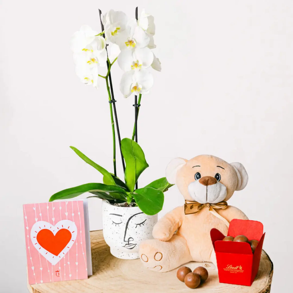 VIP-Kollektion von Blumen und Geschenken zum Valentinstag – Flora Queen